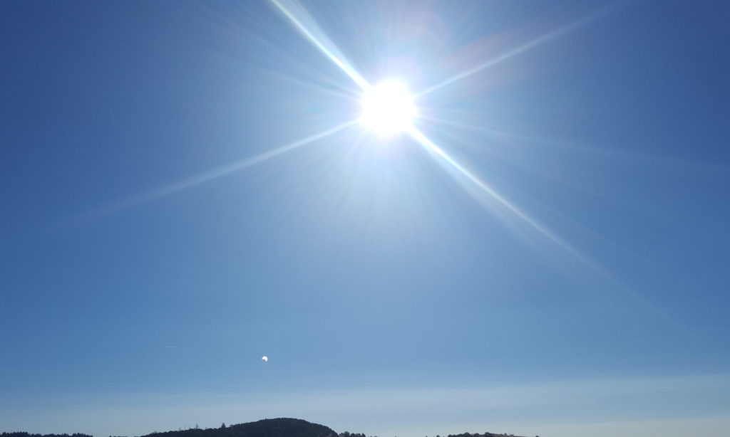 Sunshine Web Design – Outshine the competition!